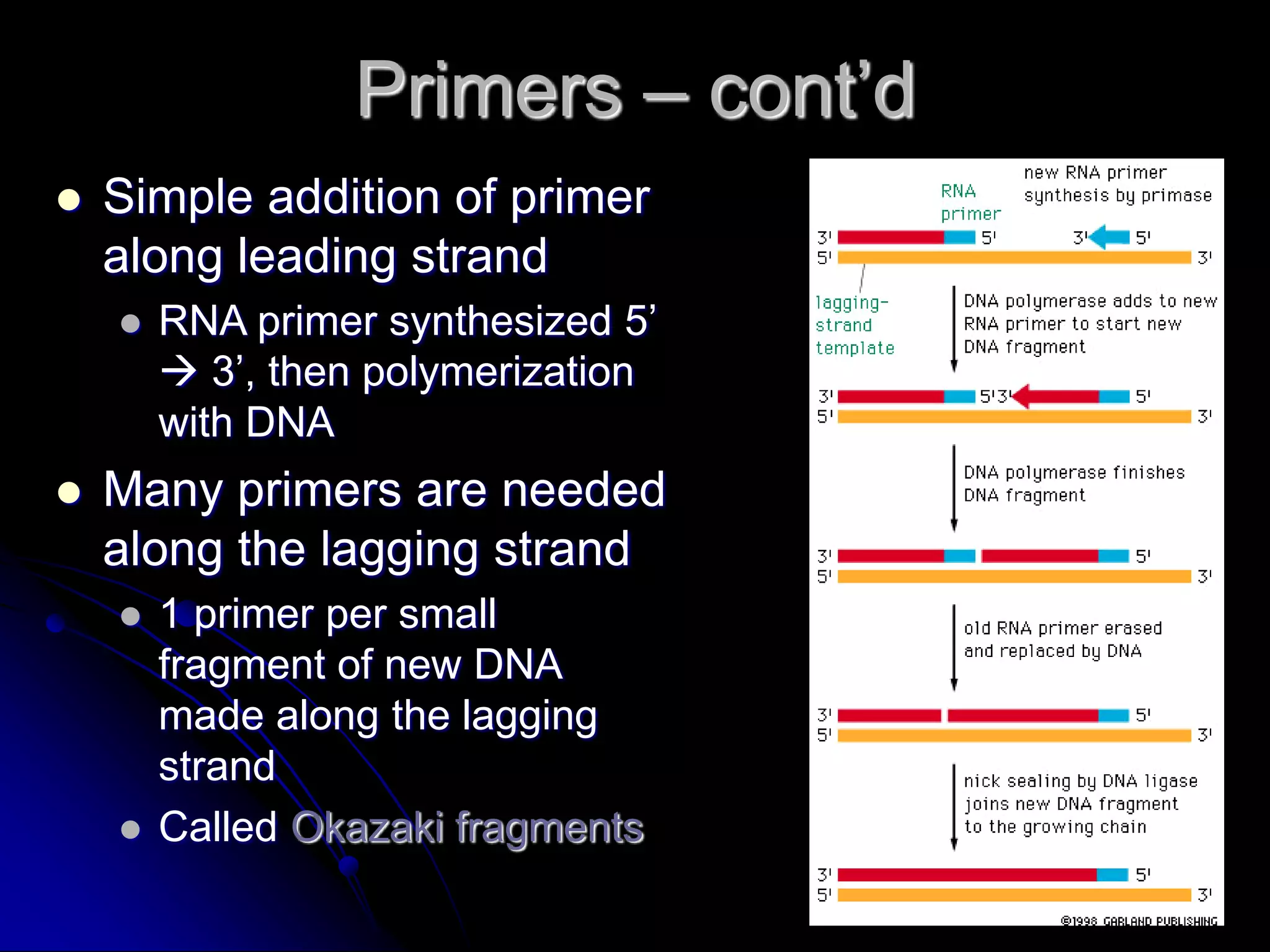 Chapter 5 & 6 - DNA & DNA Replication.ppt