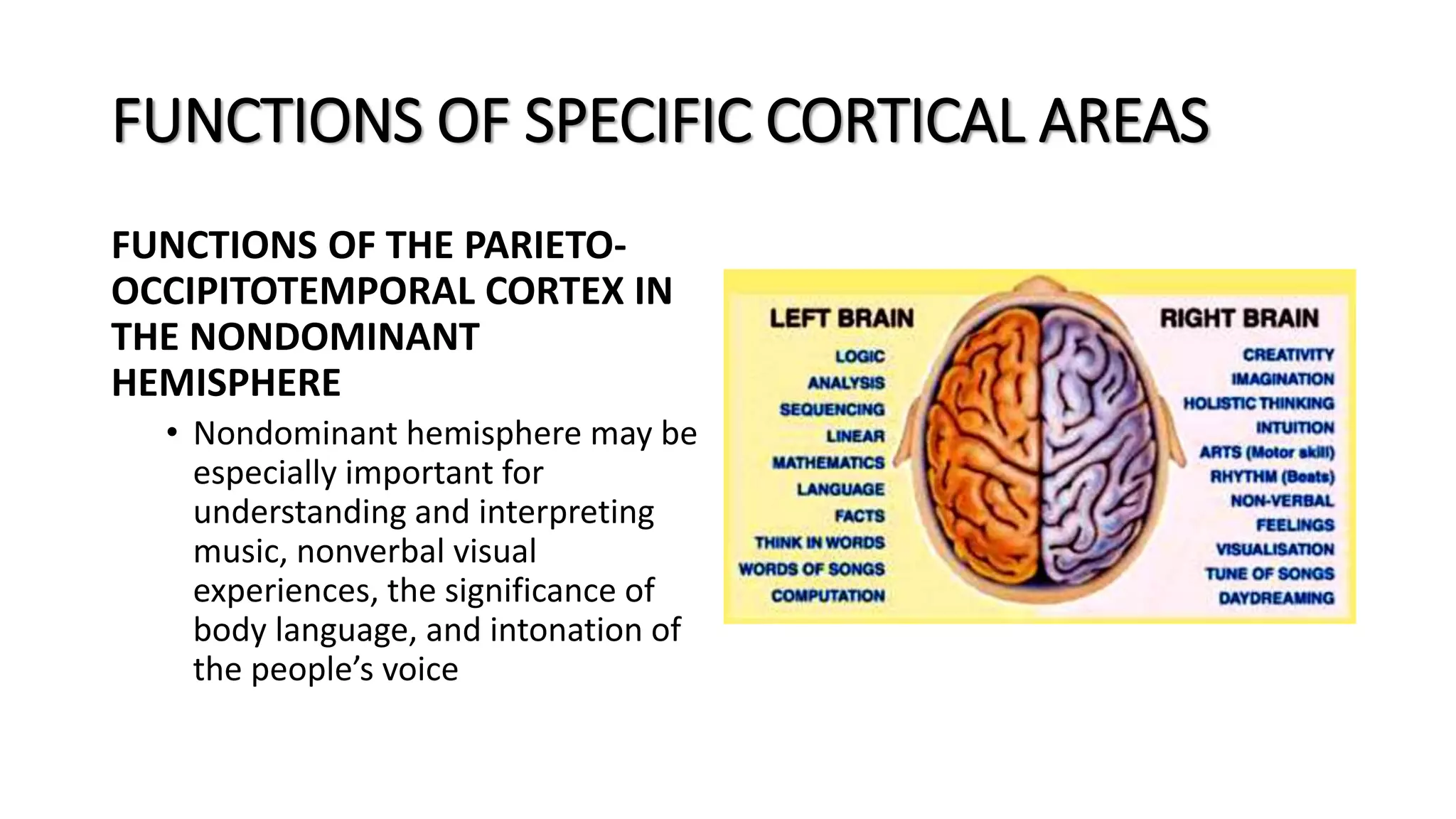 Chapter 58 cerebral cortex, intellectual functions | PPTX