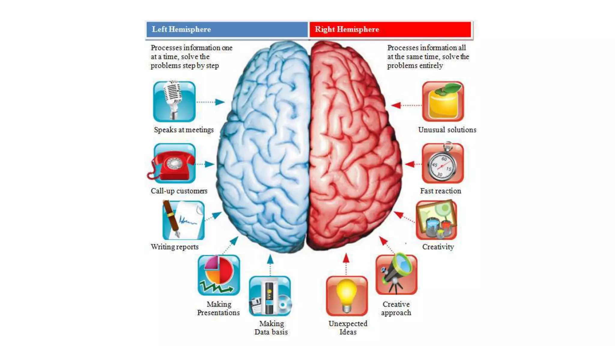 Chapter 58 cerebral cortex, intellectual functions | PPTX