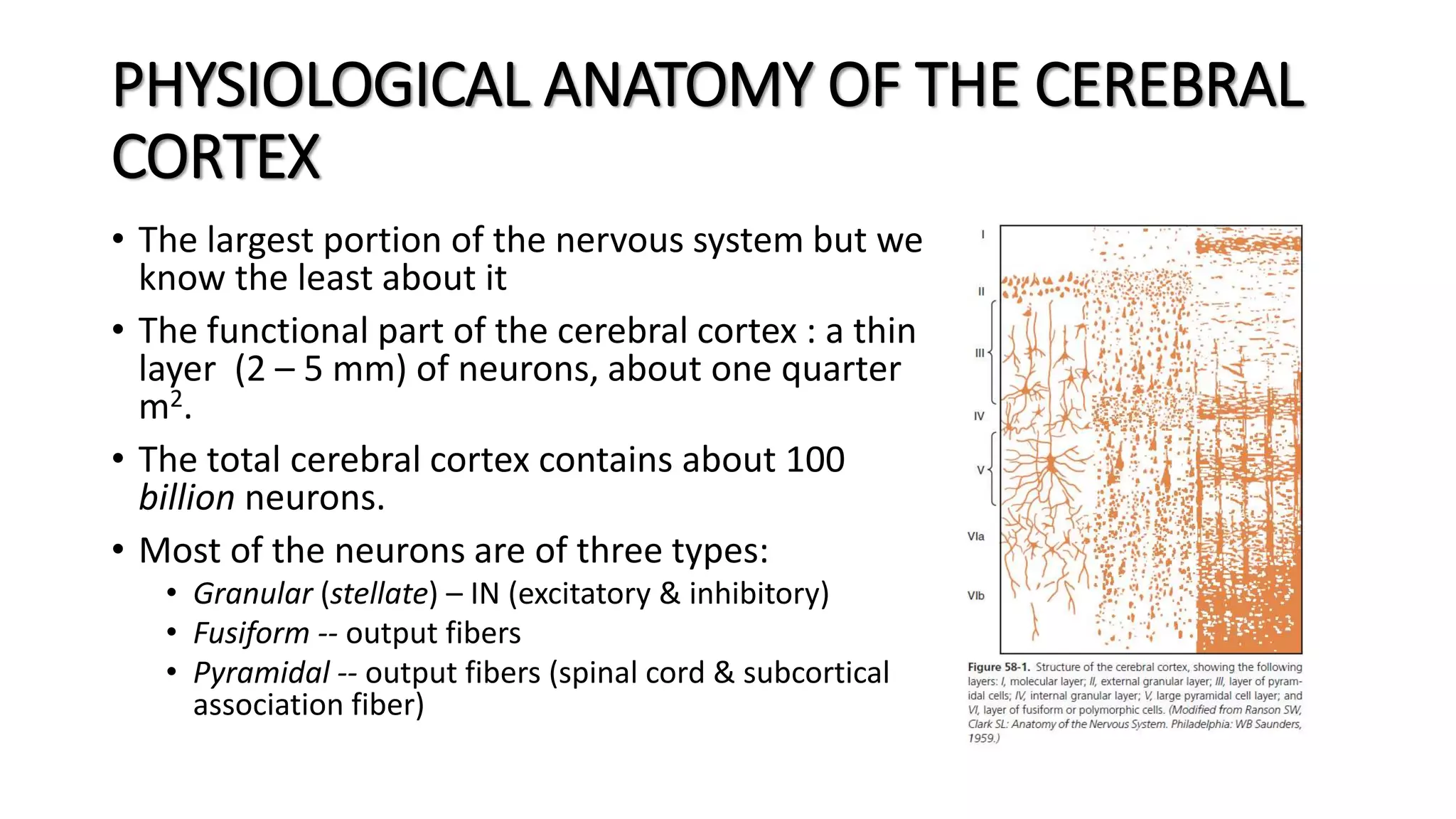 Chapter 58 cerebral cortex, intellectual functions | PPTX