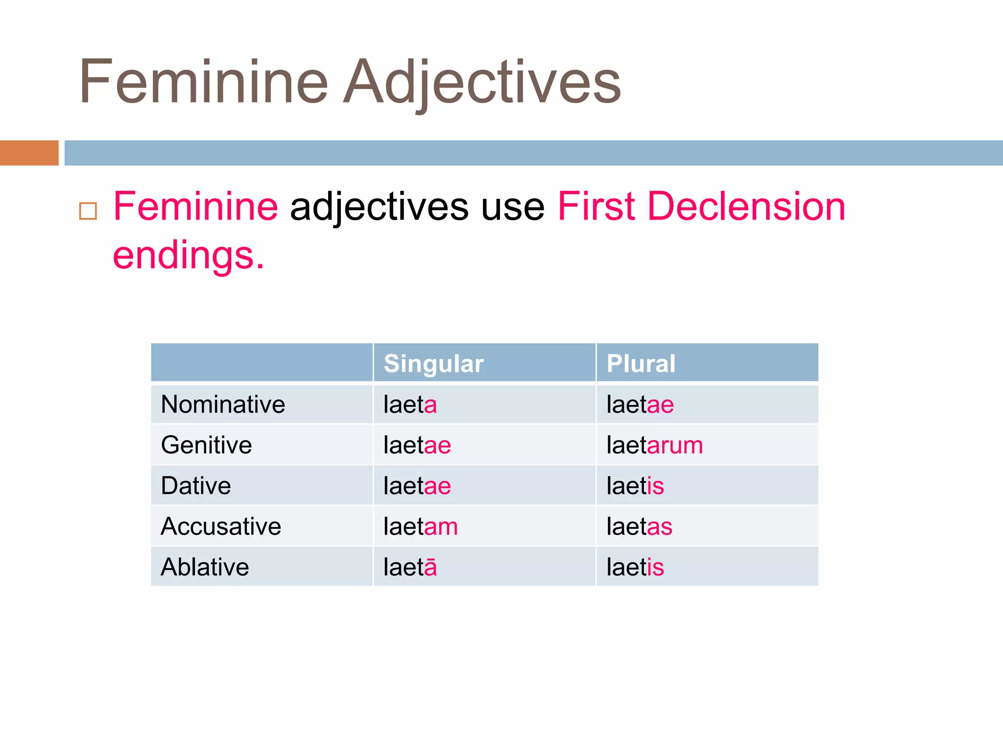 Chapter 5 Adjectives | PPTX