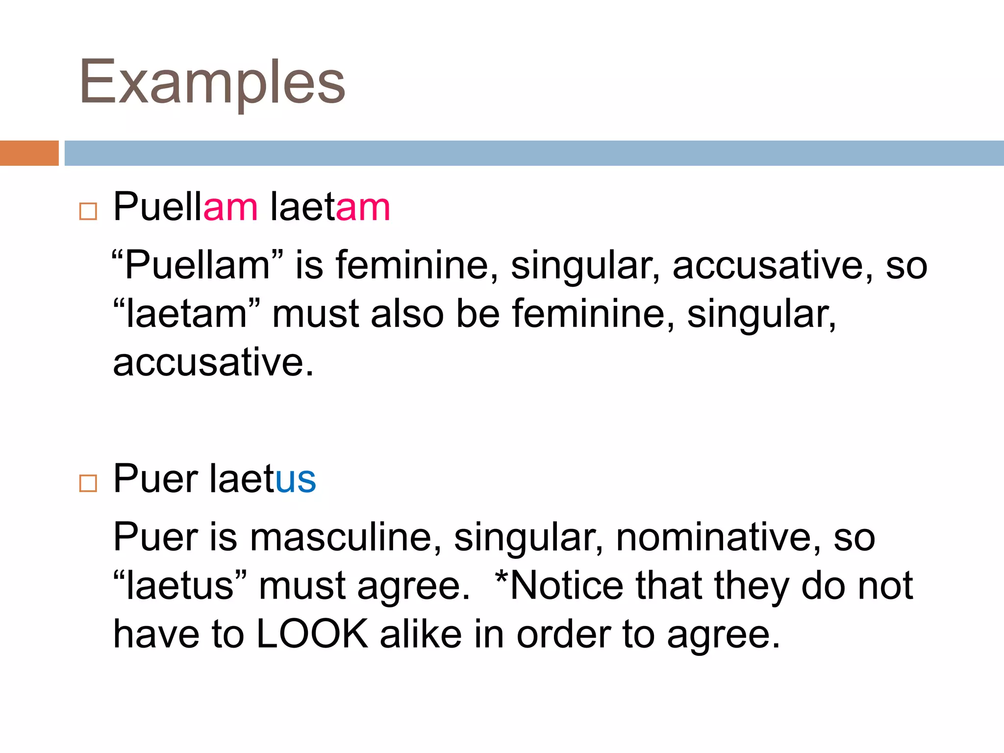 Chapter 5 Adjectives | PPTX
