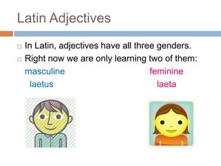 Chapter 5 Adjectives | PPT