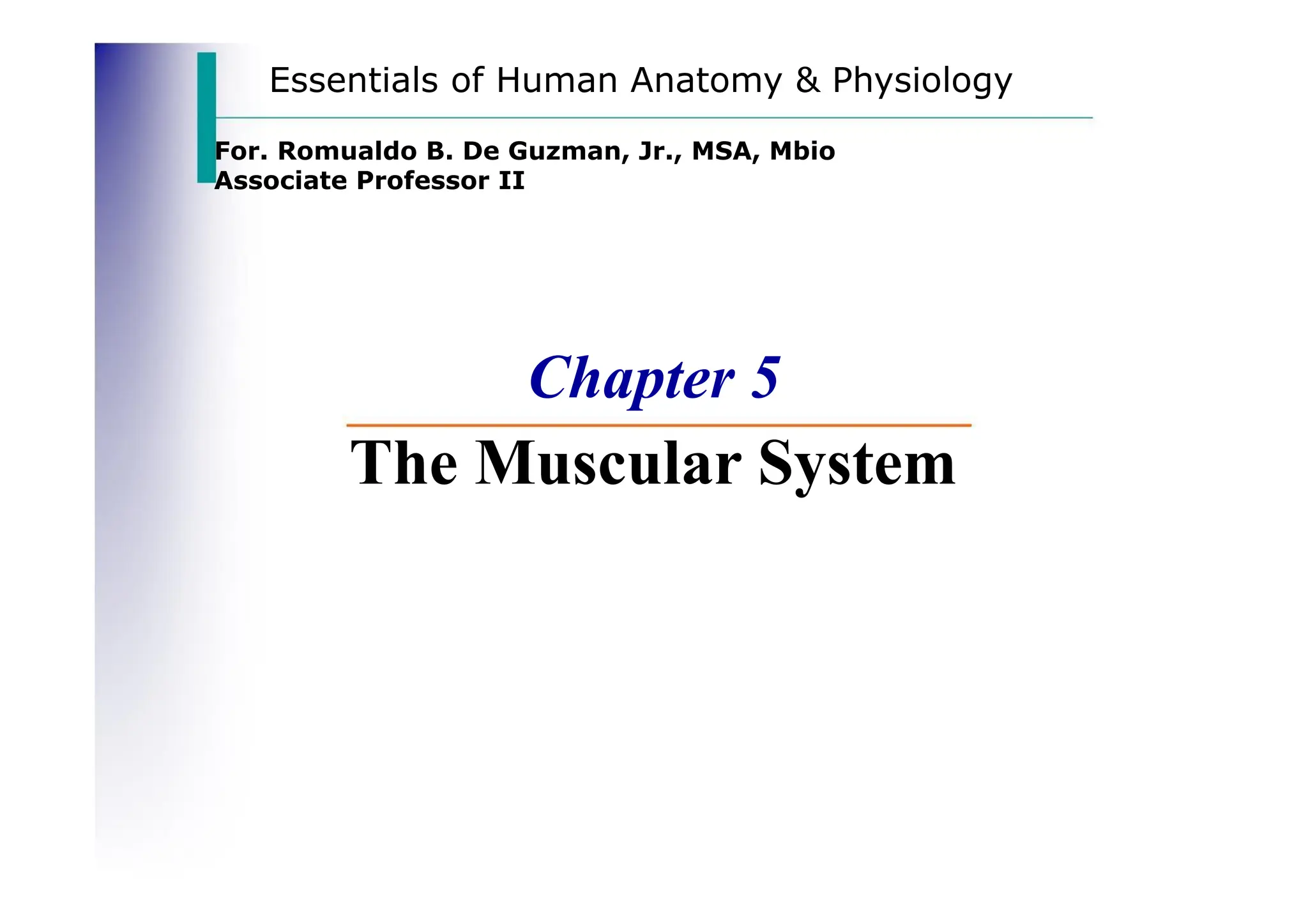 Chapter 5 A Muscular System.pdf123456789 | PDF