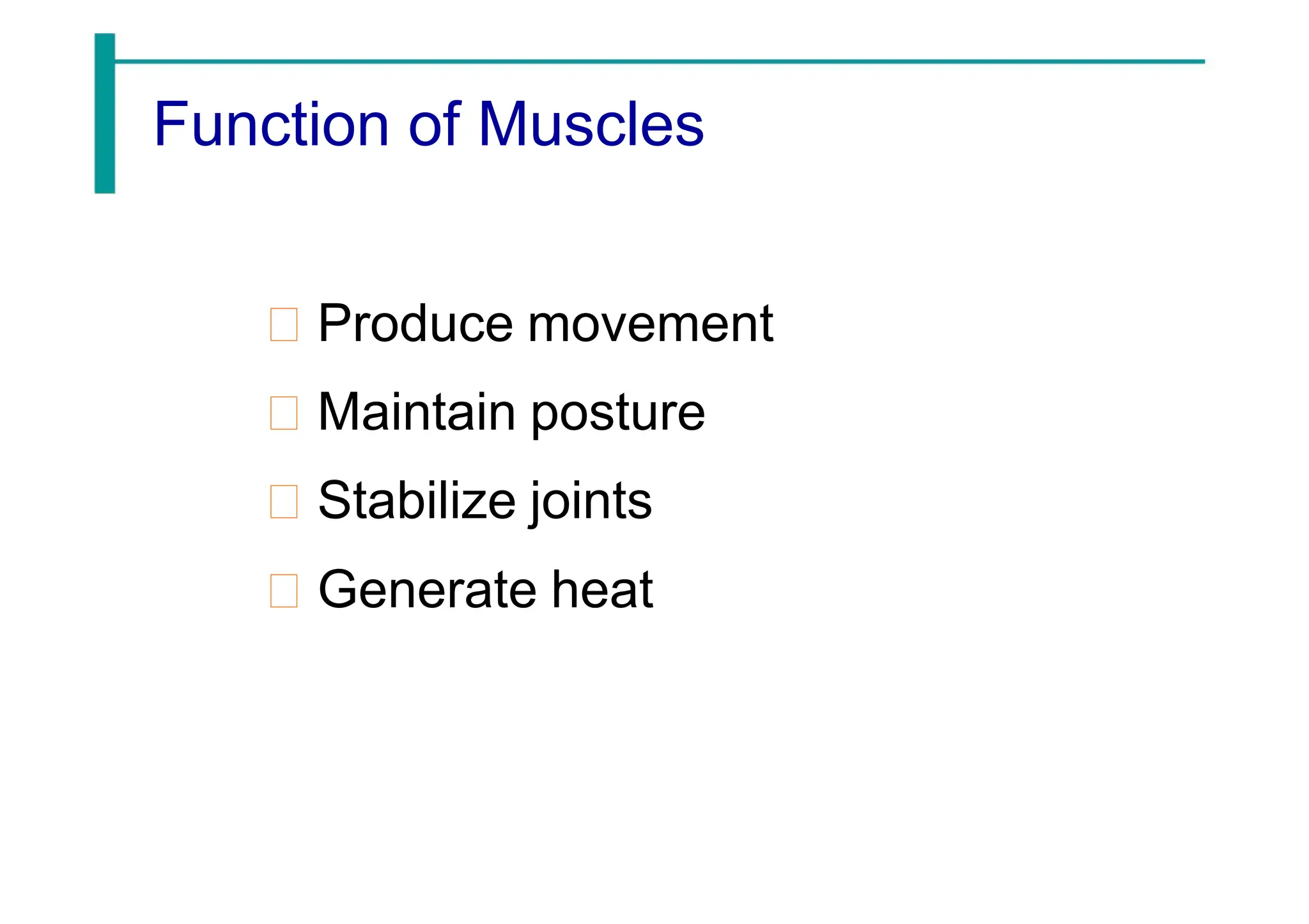 Chapter 5 A Muscular System.pdf123456789 | PDF