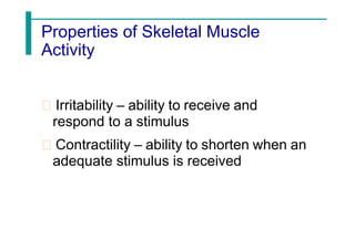 Chapter 5 A Muscular System.pdf123456789 | PDF