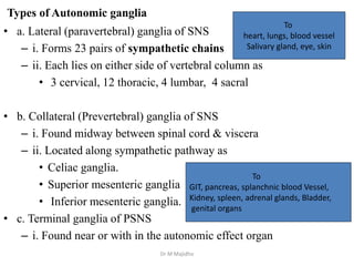 Chapter 5 ANS 1-2.pptx physiology by mohanmohri | PPTX