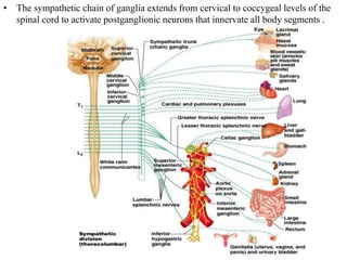 Chapter 5 ANS 1-2.pptx physiology by mohanmohri | PPTX