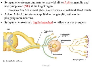 Chapter 5 ANS 1-2.pptx physiology by mohanmohri | PPTX