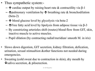 Chapter 5 ANS 1-2.pptx physiology by mohanmohri | PPTX