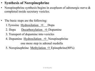Chapter 5 ANS 1-2.pptx physiology by mohanmohri | PPTX