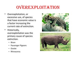 Biodiversity and conservation | PPT