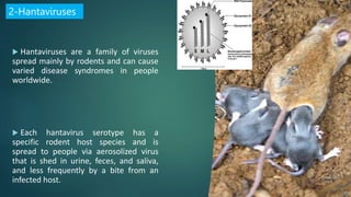 Chapter 5 Biological agents of disease.pptx