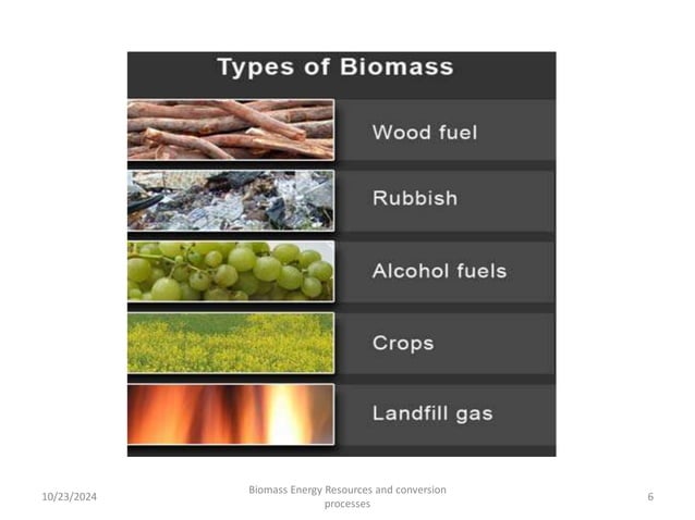 Chapter_5_Biomass Energy resources and conversion processess.pdf