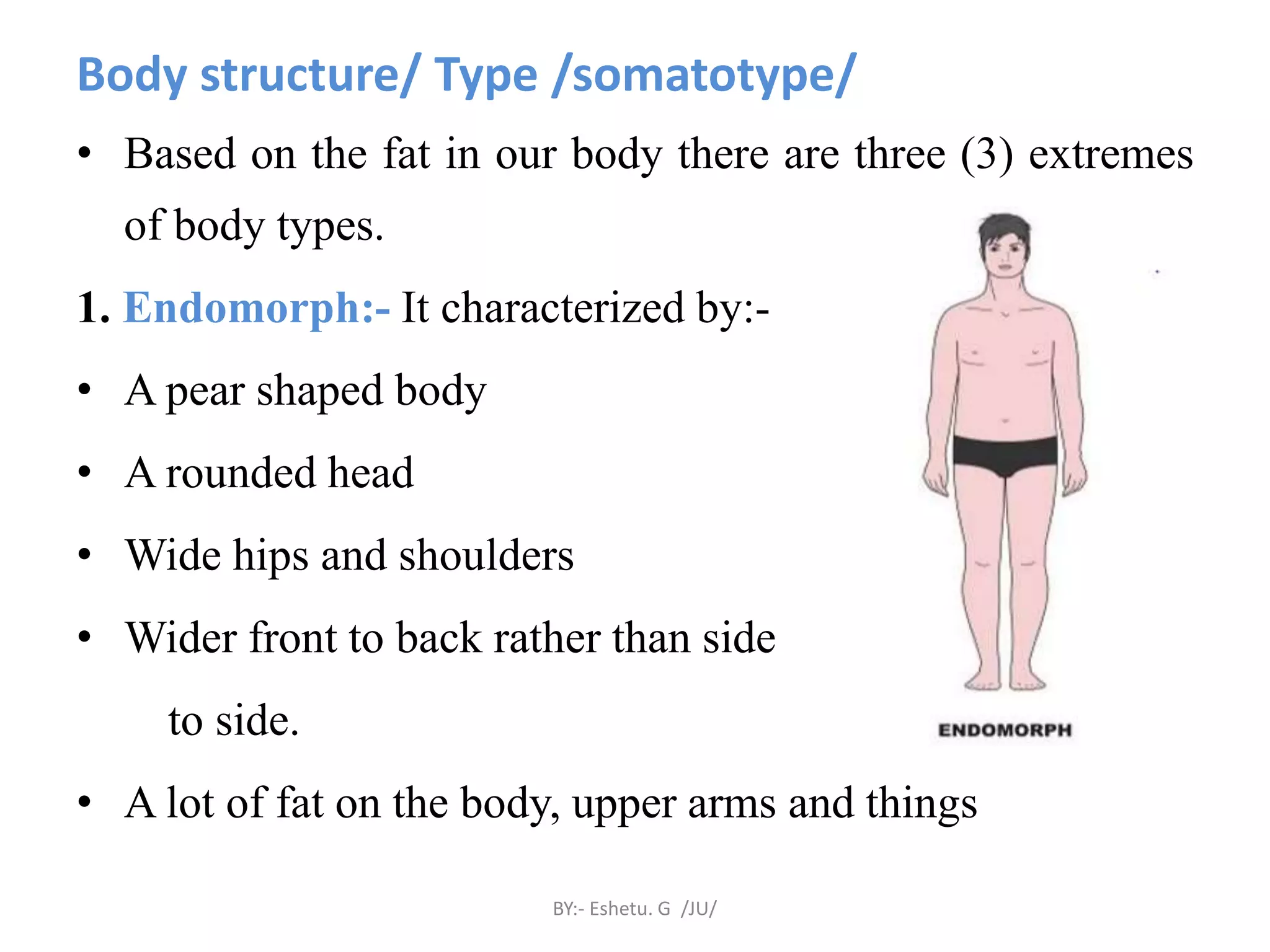 chapter 5 body composition.pptx
