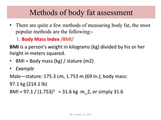Body Composition Examples