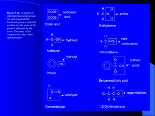 Chapter 5 carbon and it's compounds .ppt