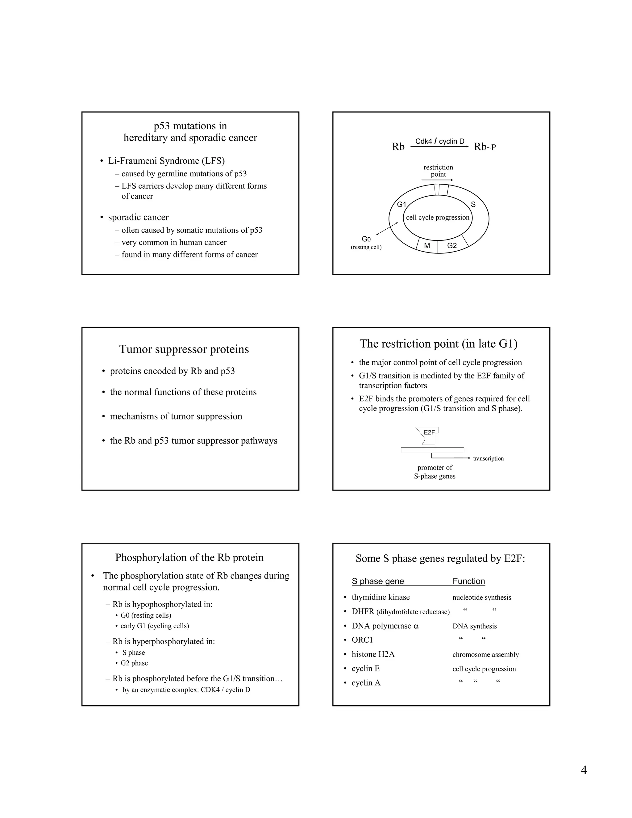 Chapter 5 cancer susceptibility syndromes | PDF