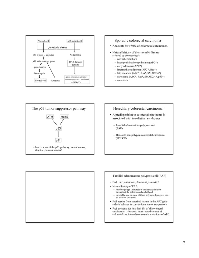 Chapter 5 cancer susceptibility syndromes | PDF | Cancer | Diseases and Conditions