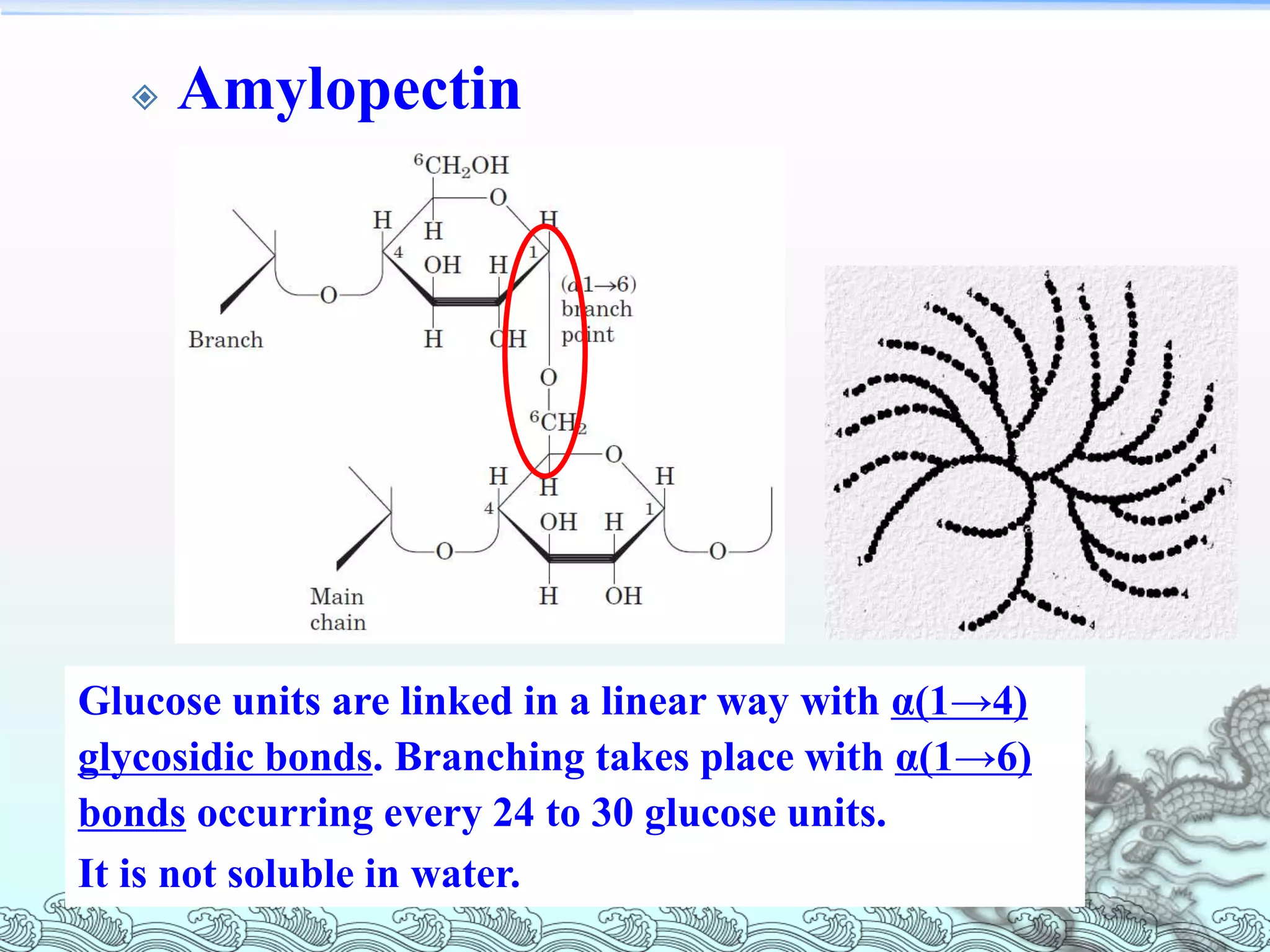 Chapter 5 Carbohydrate Metabolism-I.ppt