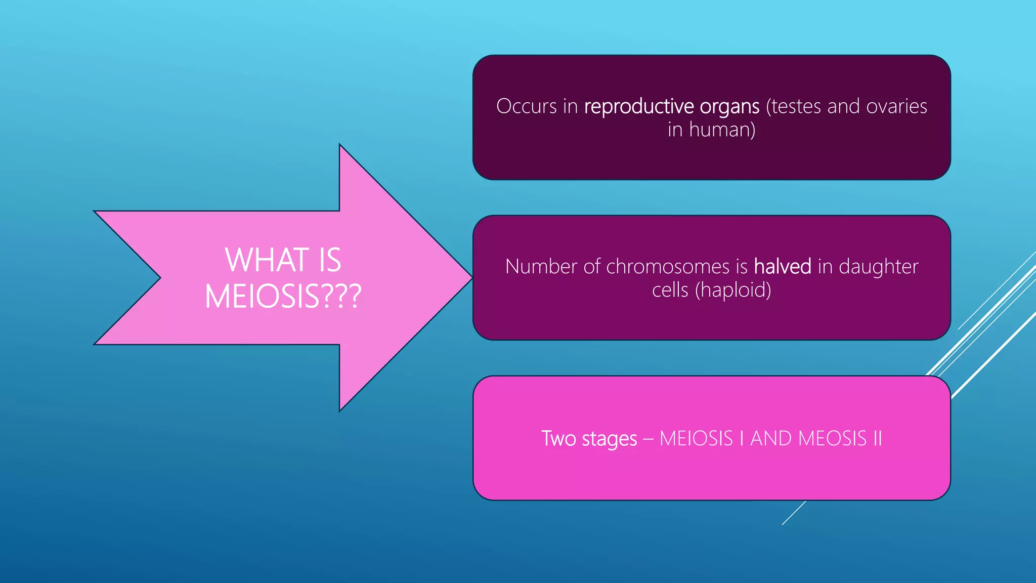 Science Form 4 Chapter 5 – cell division | PPTX
