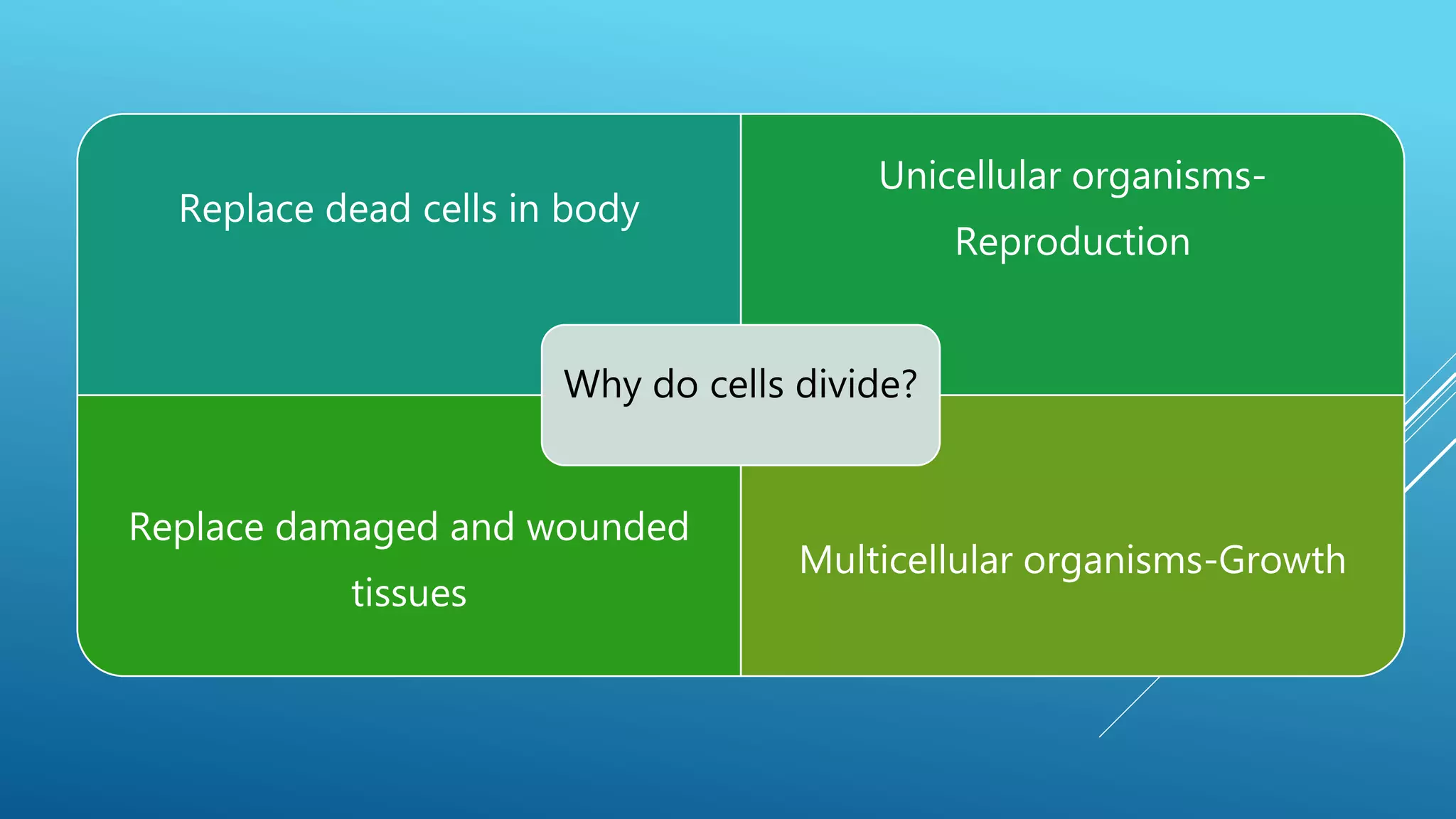 Science Form 4 Chapter 5 – cell division | PPTX