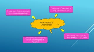 Science Form 4 Chapter 5 – cell division | PPTX