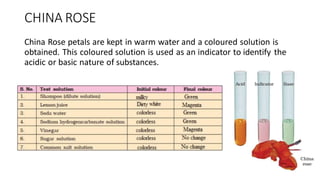 chapter5class7th-200723223329.pptx