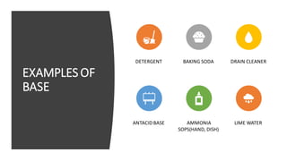 Chapter - 5, Acids, Bases and Salts, Science, Class 7 | PDF