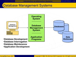 Chapter 5 Data Resource Management (DRM) | PPT