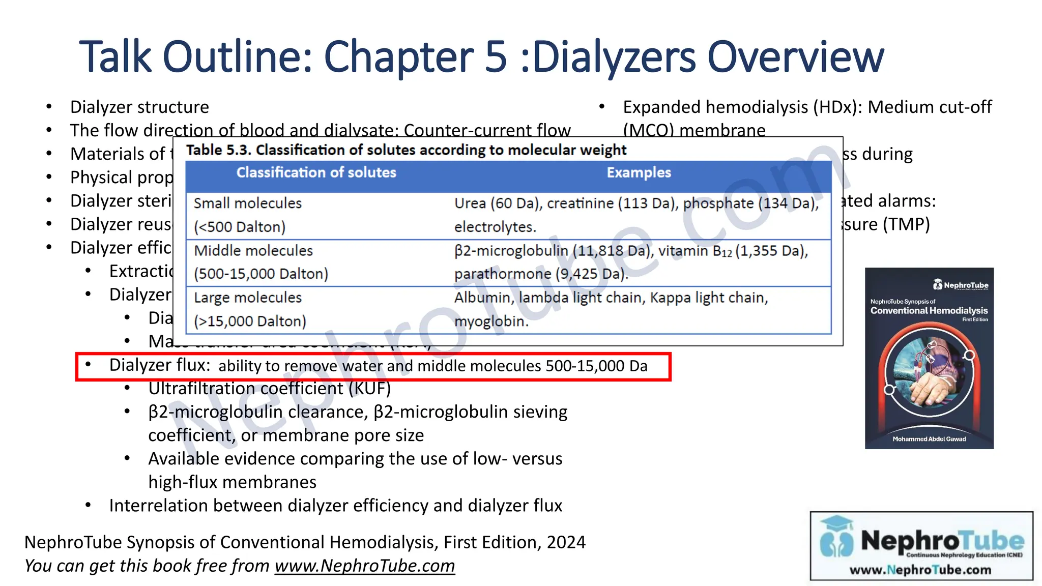 Hemodialysis: Chapter 5, Dialyzers Overview - Dr.Gawad | PDF