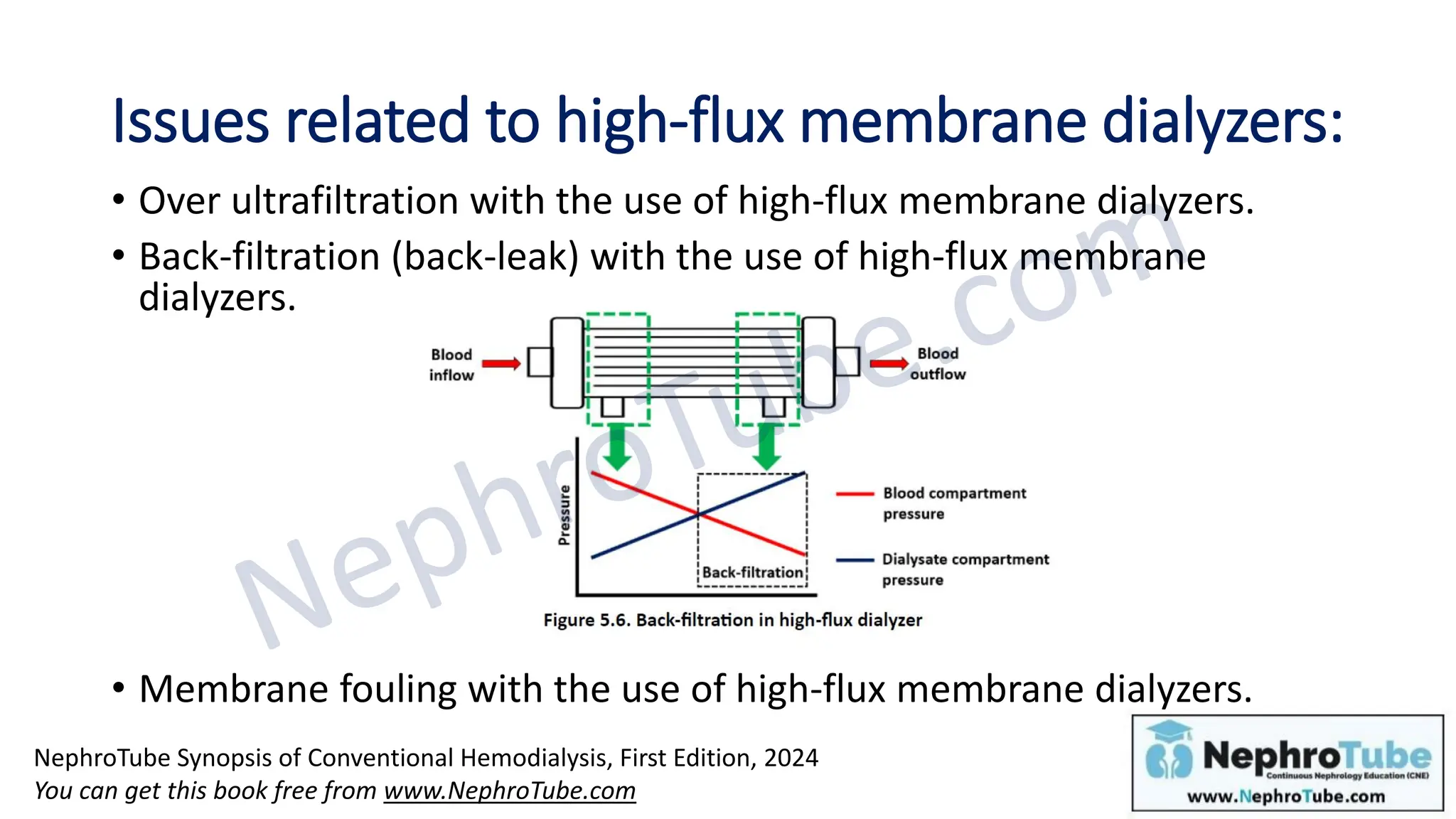 Hemodialysis: Chapter 5, Dialyzers Overview - Dr.Gawad | PDF