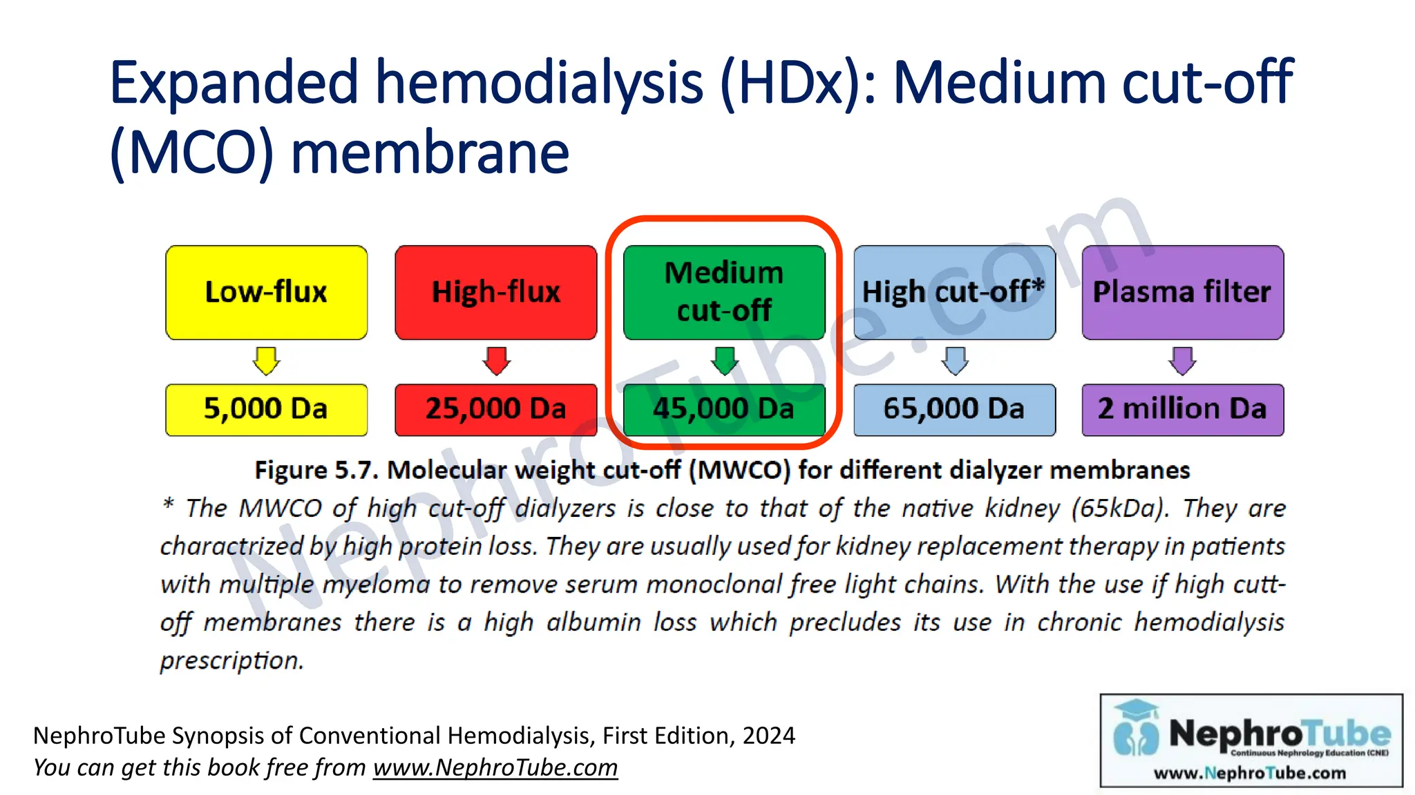 Hemodialysis: Chapter 5, Dialyzers Overview - Dr.Gawad | PDF
