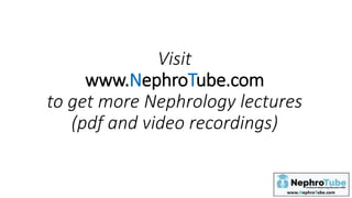 Hemodialysis: Chapter 5, Dialyzers Overview - Dr.Gawad | PDF