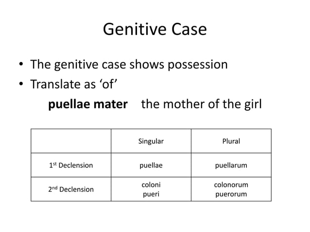 Chapter 5 grammar | PPT