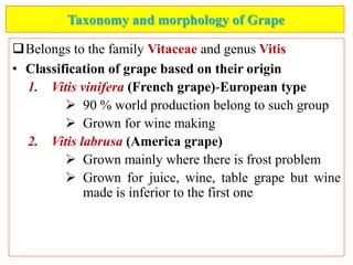 Chapter 5 Grape production (1).pptx