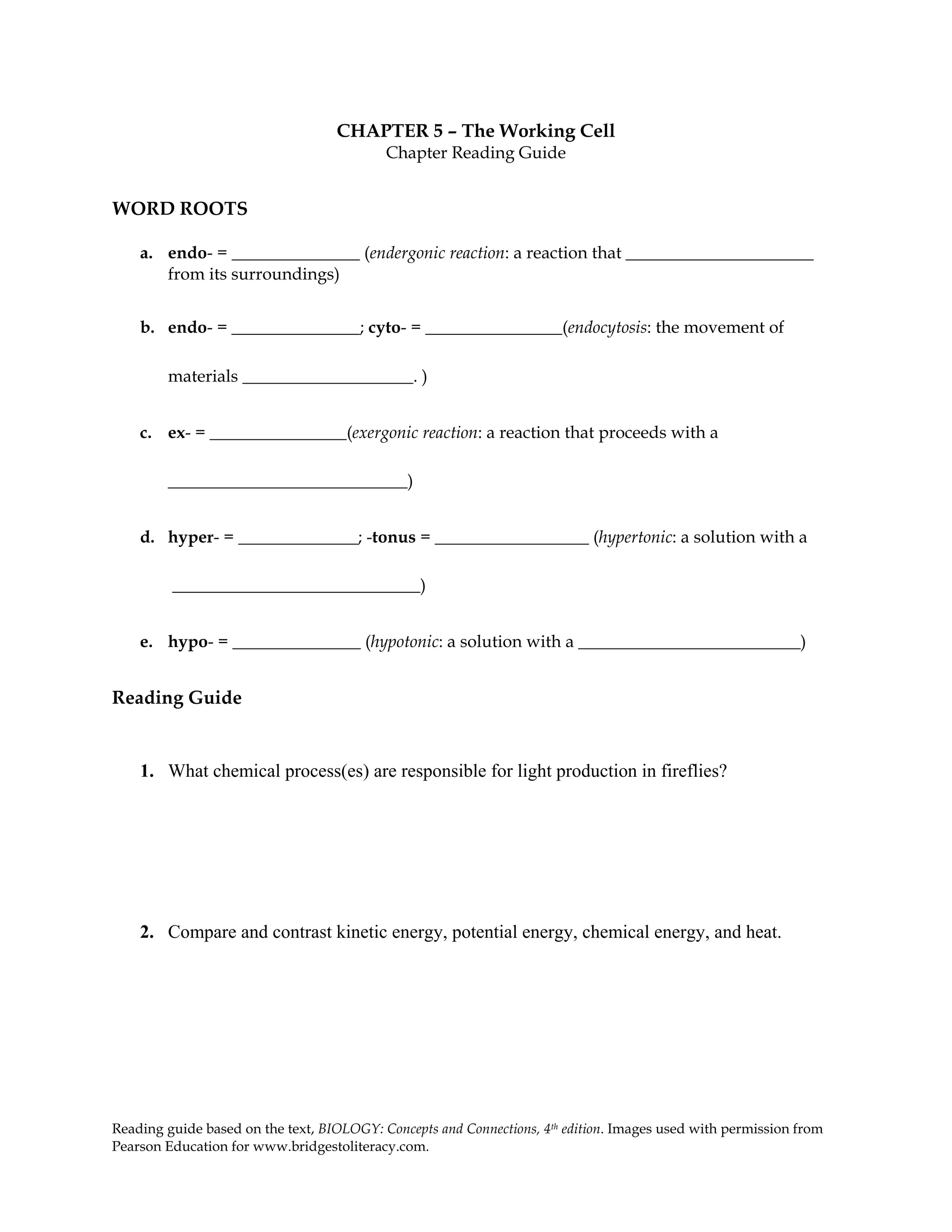 Chapter 5 guided reading | PDF