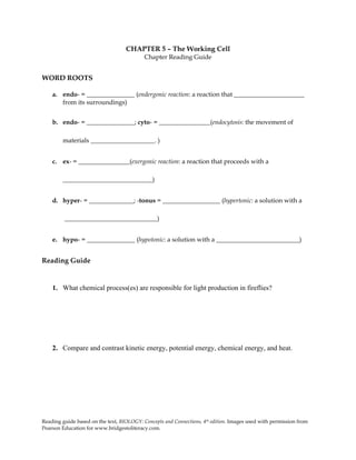 Chapter 5 guided reading | PDF