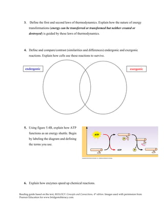 Chapter 5 guided reading | PDF