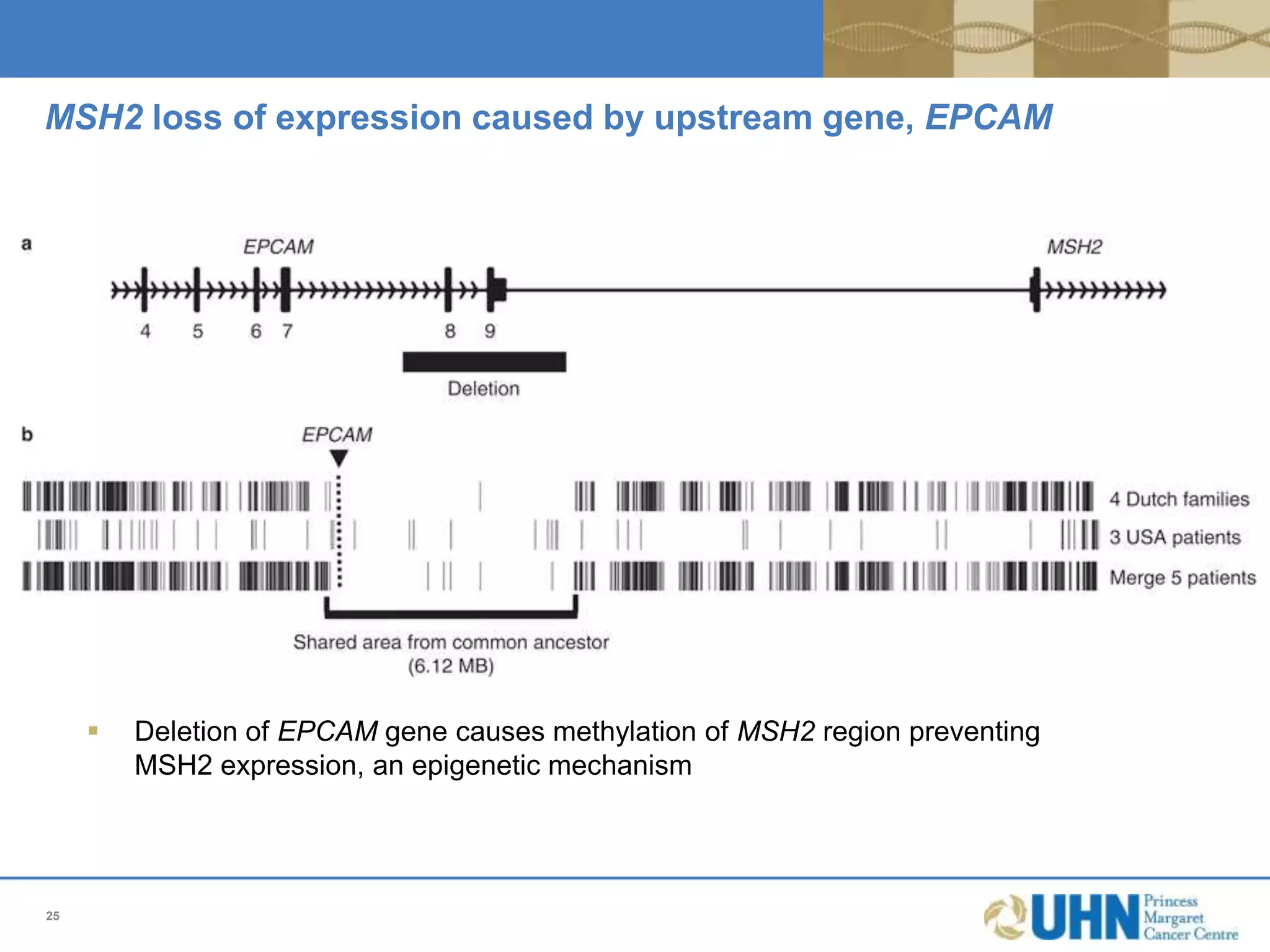 Chapter 5 hereditary cancer syndrome next generation | PPTX