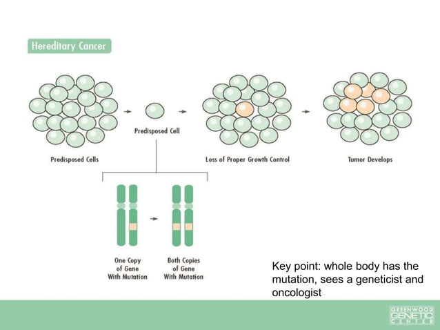 Chapter 5 hereditary cancer syndrome next generation | PPTX