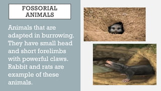 CHAPTER 5 HOW DO LIVING THINGS GROW AND SURVIVE.pptx