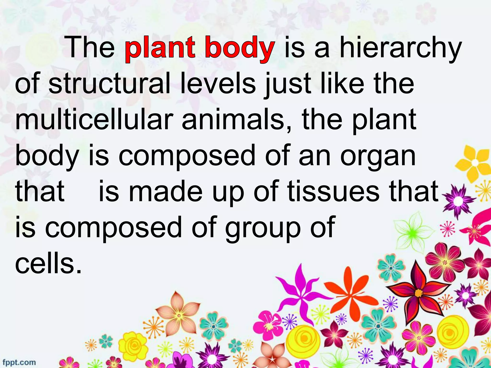 Chapter 5 : How Plants Survive | PPTX