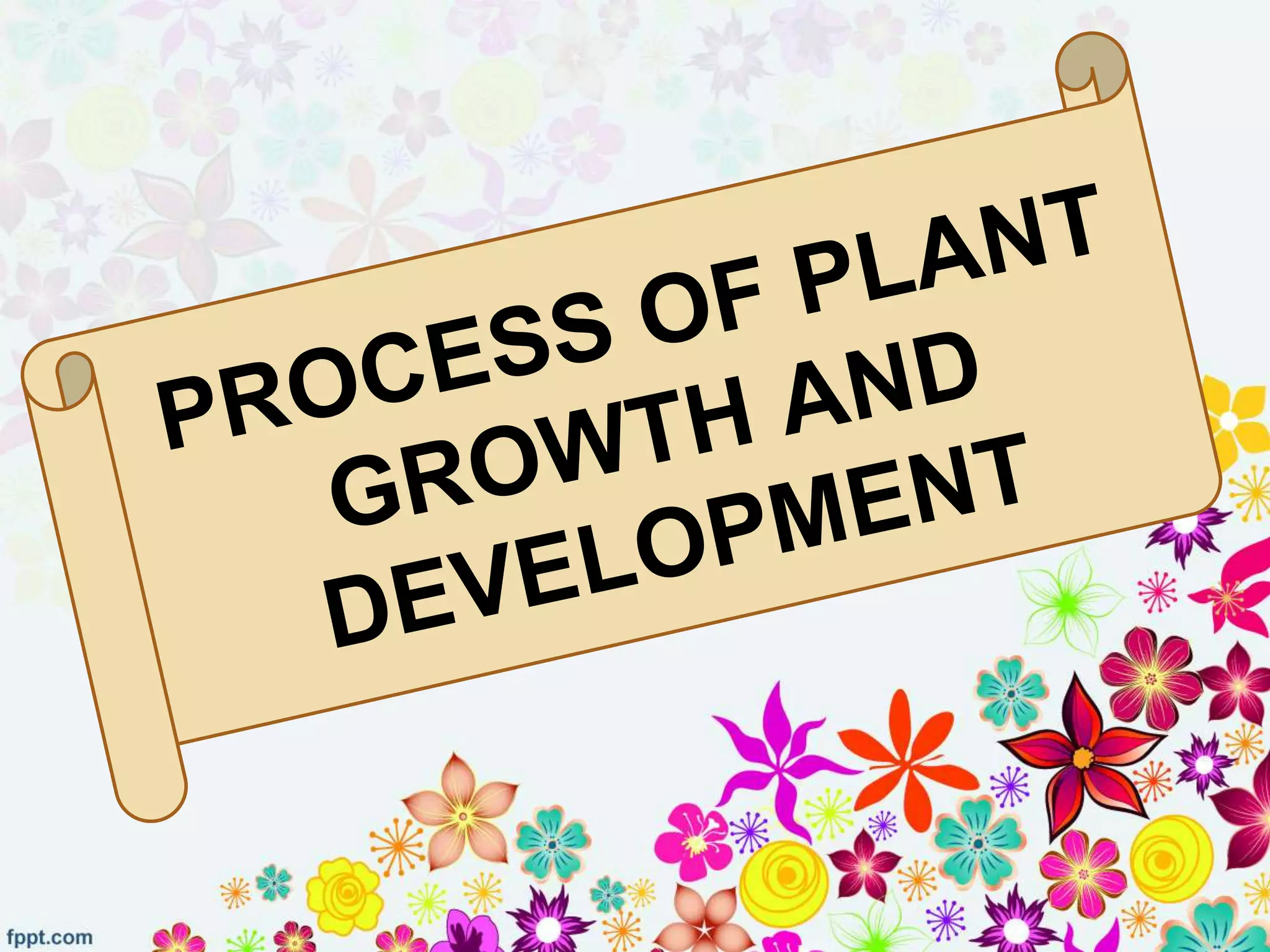 Chapter 5 : How Plants Survive | PPTX