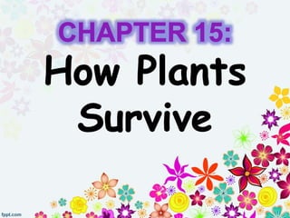Chapter 5 : How Plants Survive | PPTX