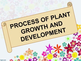 Chapter 5 : How Plants Survive | PPTX