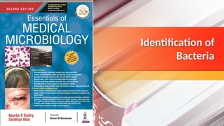 Chapter 5 Identification of Bacteria.pptx
