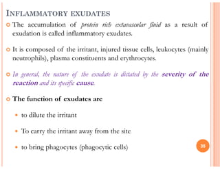 Inflammation_ Lecture material for beginners as PPT.pdf