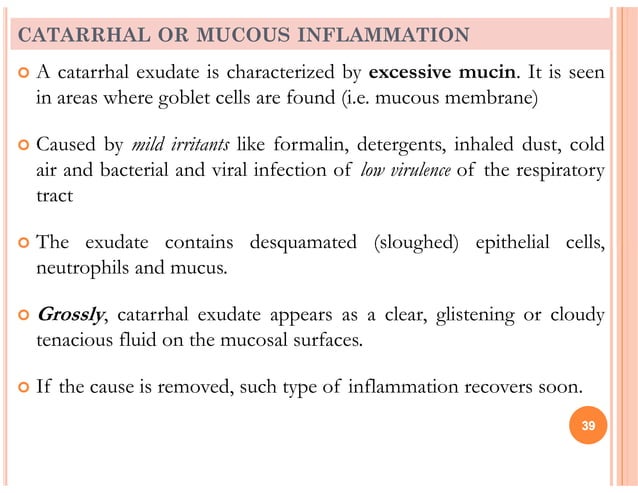Inflammation_ Lecture material for beginners as PPT.pdf