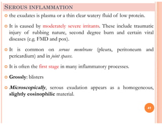 Inflammation_ Lecture material for beginners as PPT.pdf